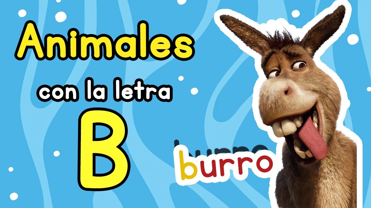 Descubre 10 Fascinantes Animales que Empiecen con la Letra B | ECONOMÍA ...