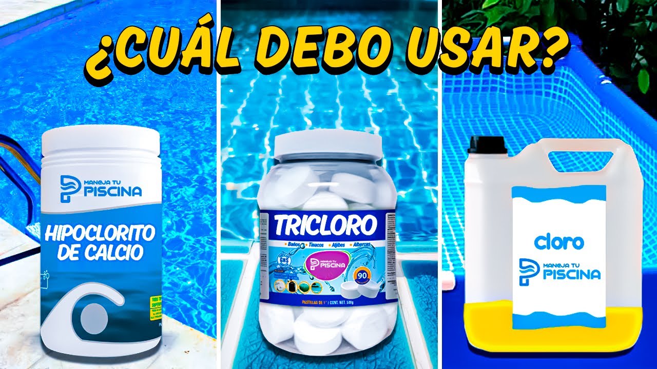 Usos y Beneficios del Cloro en Polvo para Alberca | ECONOMÍA VERDE