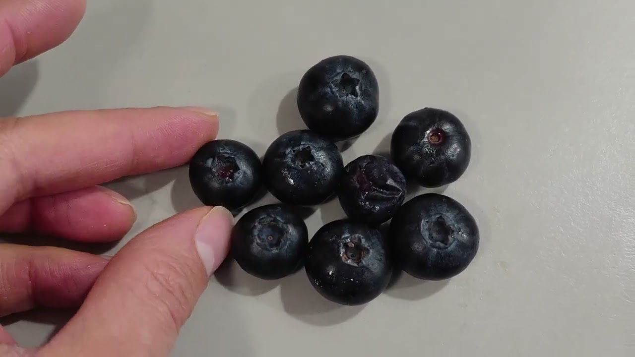 Descubre la Versatilidad del Color Arandano en Decoración | ECONOMÍA VERDE