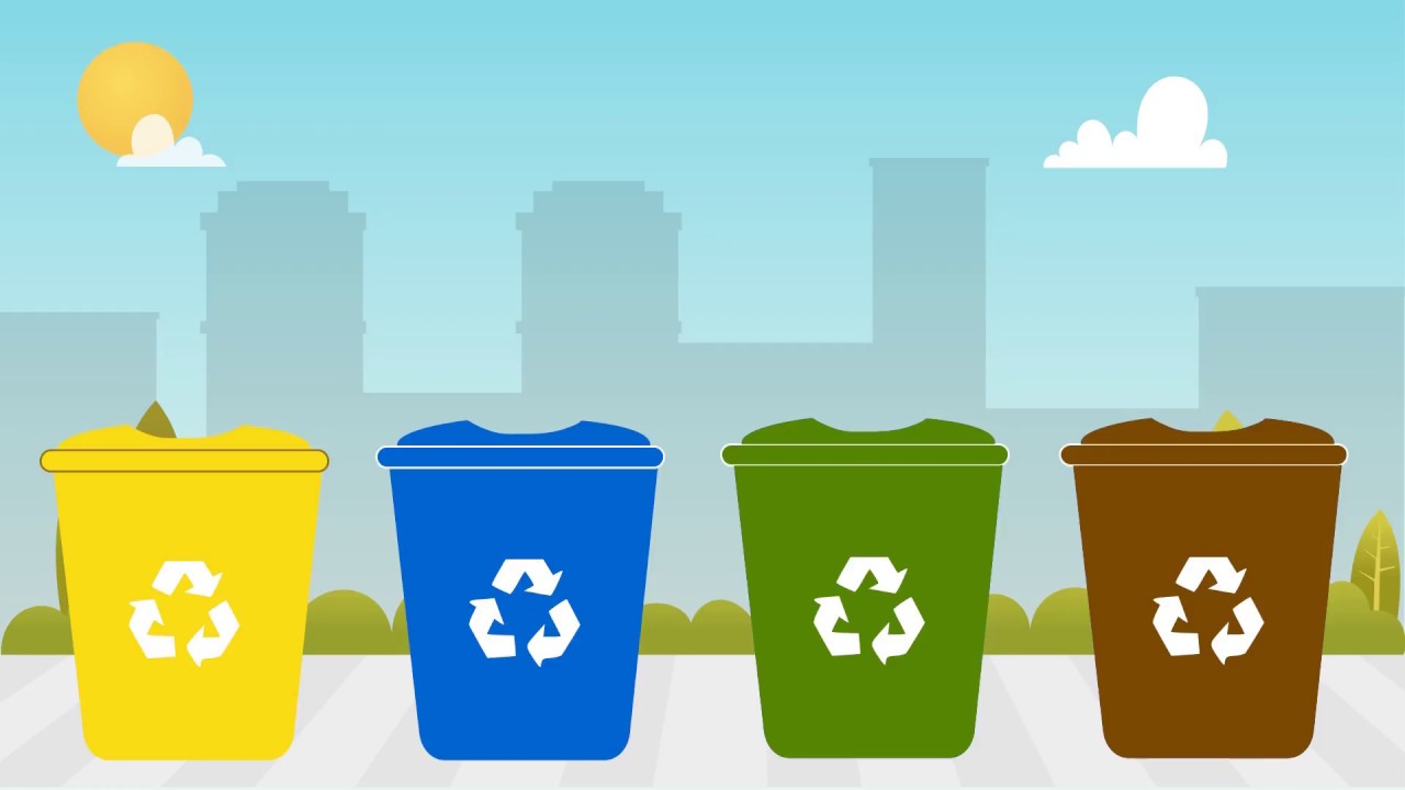 Decodificando los Colores de los Botes de Basura | ECONOMÍA VERDE