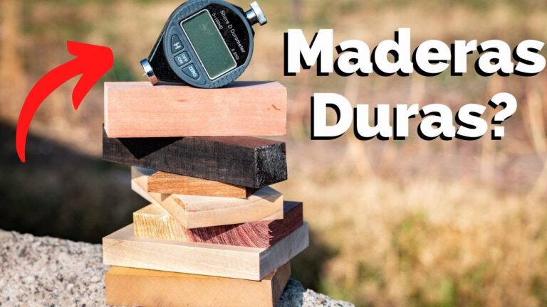 Descubriendo cuál es la madera más dura: Guía comparativa | ECONOMÍA VERDE