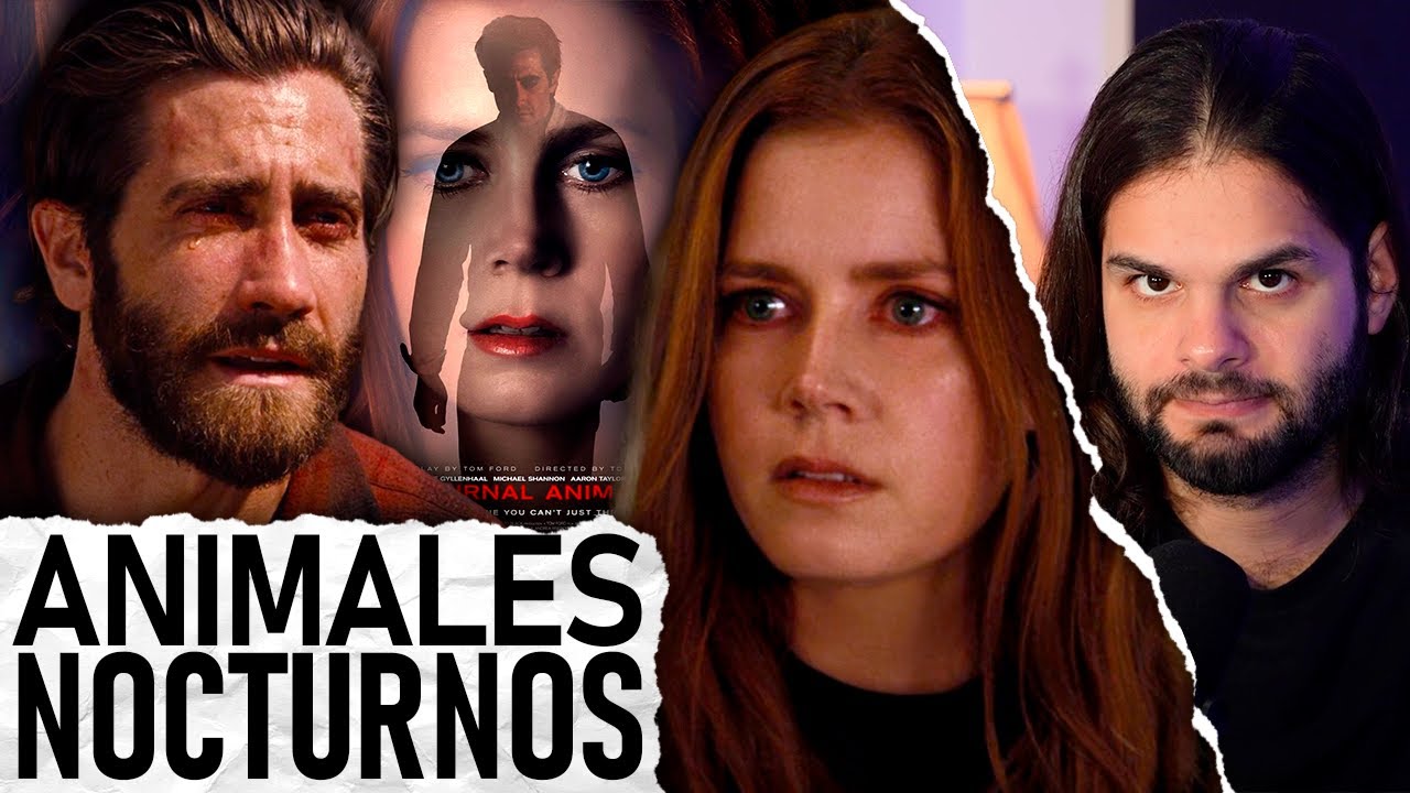 Explicación Completa de los Animales Nocturnos y sus Hábitos | ECONOMÍA ...