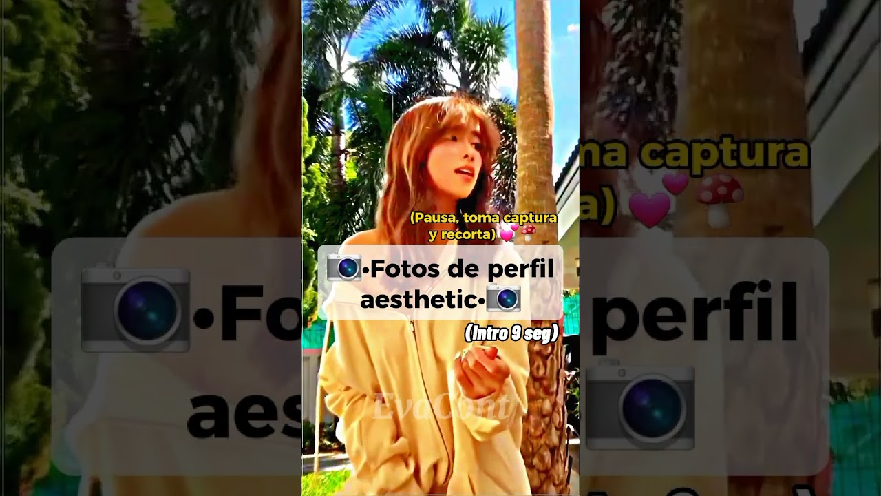 Las Mejores Imágenes Perronas para Foto de Perfil Únicas | ECONOMÍA VERDE