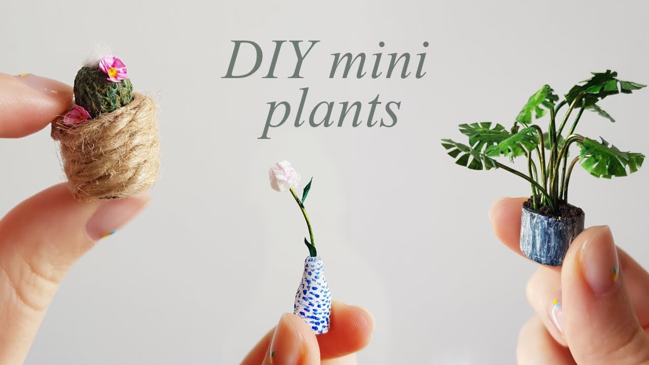 Guía Completa para Cultivar Mini Plantas | ECONOMÍA VERDE