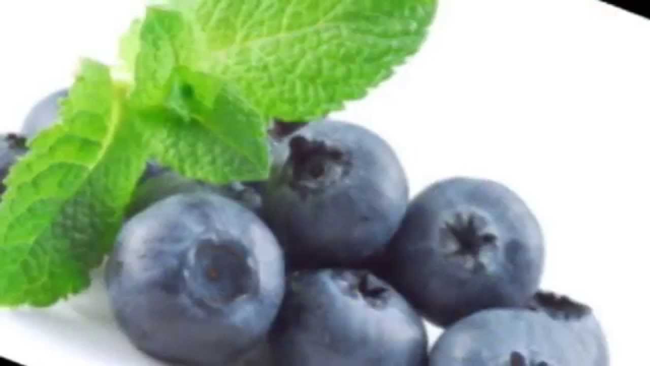 Guía Definitiva de Pequeñas Frutas Moradas, Rojas y Azules | ECONOMÍA VERDE