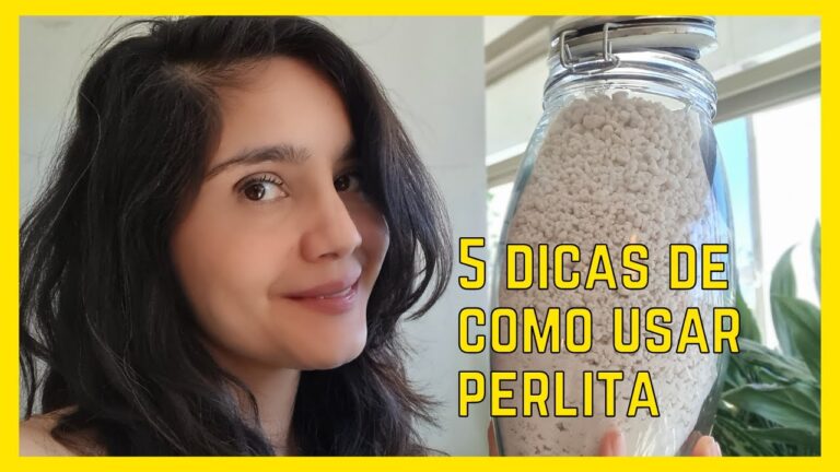 Usos y Beneficios de la Perlita Expandida | ECONOMÍA VERDE
