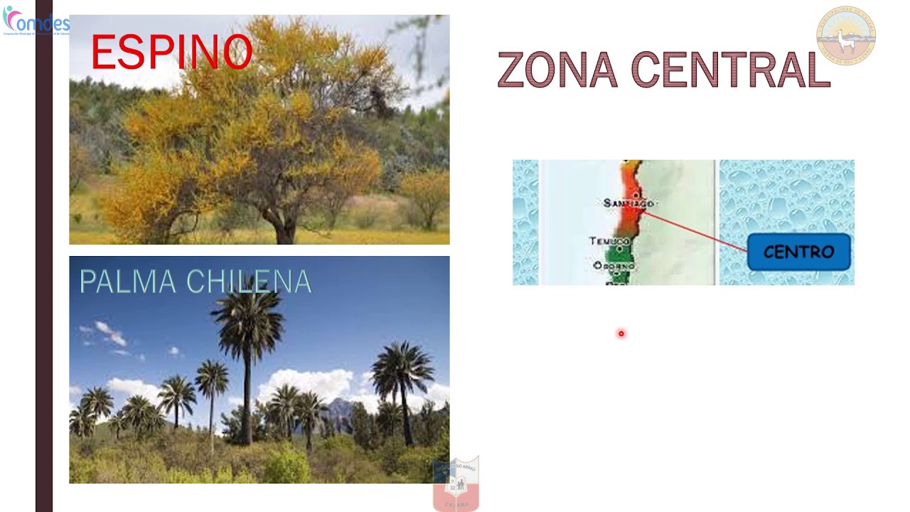 Guía Completa para Cultivar Plantas Autóctonas en tu Jardín | ECONOMÍA ...