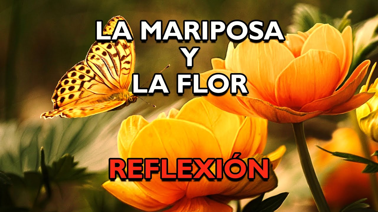 Reflexión Mariposas: Inspiradoras Frases y Pensamientos Profundos para ...