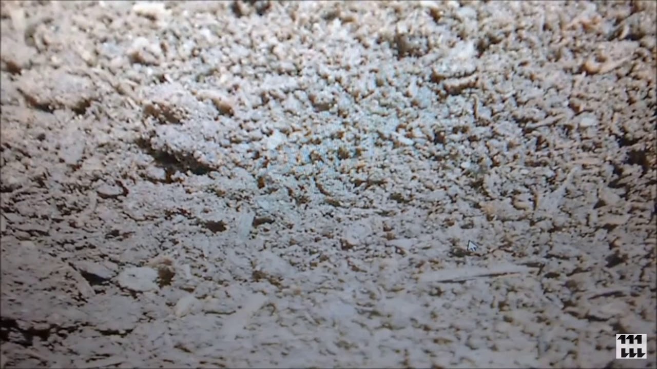 Manejo Efectivo de Tierra Limo para Jardines | ECONOMÍA VERDE