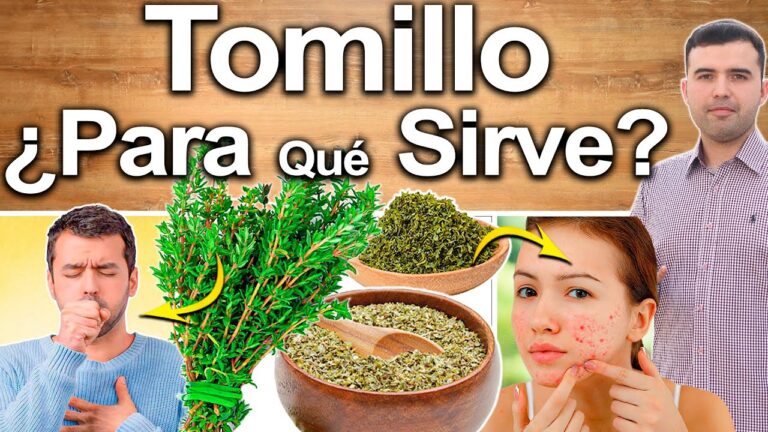 Guía Práctica: Beneficios y Usos del Tomillo Seco en Casa | ECONOMÍA VERDE